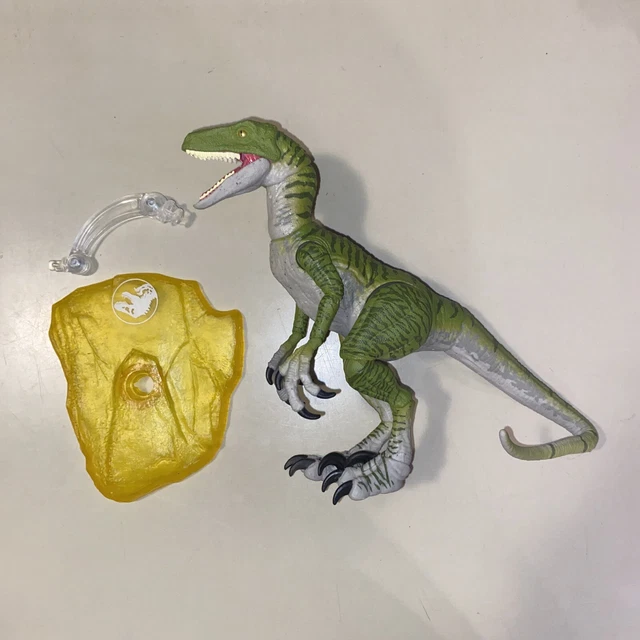 JURASSIC WORLD AMBER Collection Velociraptor Charlie Action Figure ...