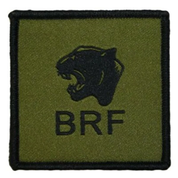 BRITISH MILITARY ISSUE 19th Brigade Reconnaissance Force Olive Green ...