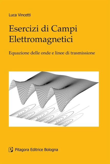 ESERCIZI DI CAMPI elettromagnetici - Vincetti Luca EUR 15,50 - PicClick IT