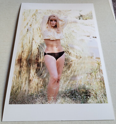 ACTRESS SHARON TATE Sexy Movie Star Photo in Format approx. 13x19cm #8205 £6.17 - PicClick UK