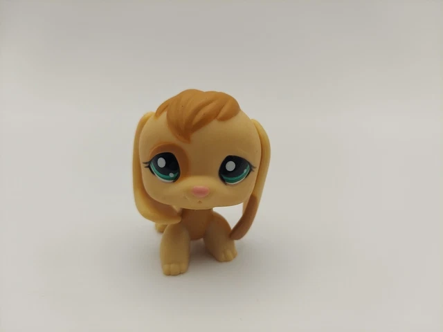 LPS #1664 LITTLEST Petshop Original Authentique Chien Beagle Dog Beagle ...