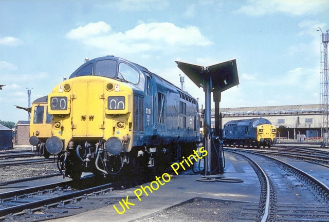 RAILWAY PHOTO 6X4 Class 37 37116 and 024 stabled at Stratford TMD c1979 ...