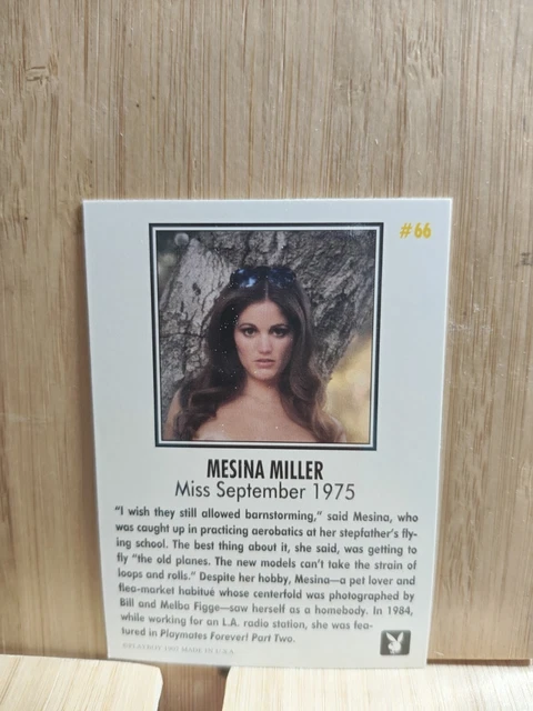 PLAYBOY 40 YEAR ANNIVERSARY 🏆1997 #66 MESINA MILLER Card🏆 $5.00 - PicClick AU