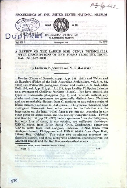 A REVIEW OF the Labrid Fish Genus Wetmorella with Descriptions of new ...