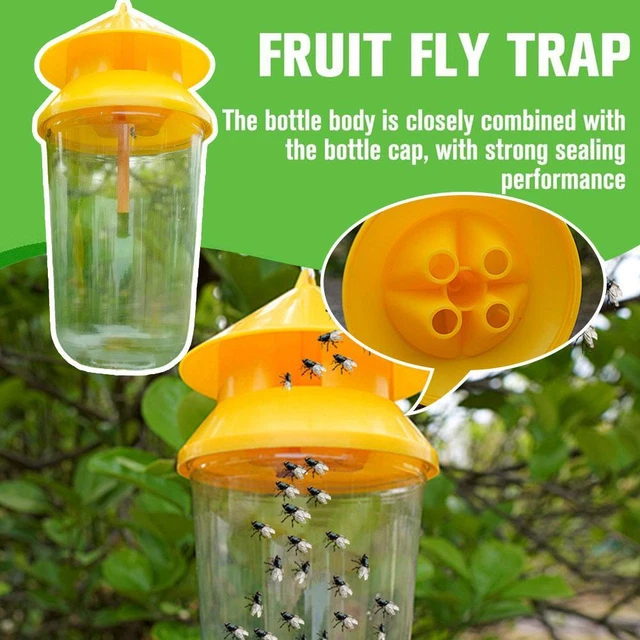 FRUIT FLY TRAP Killer Yellow Plastic Drosophila Trap Anti Fly Fruit Fly ...