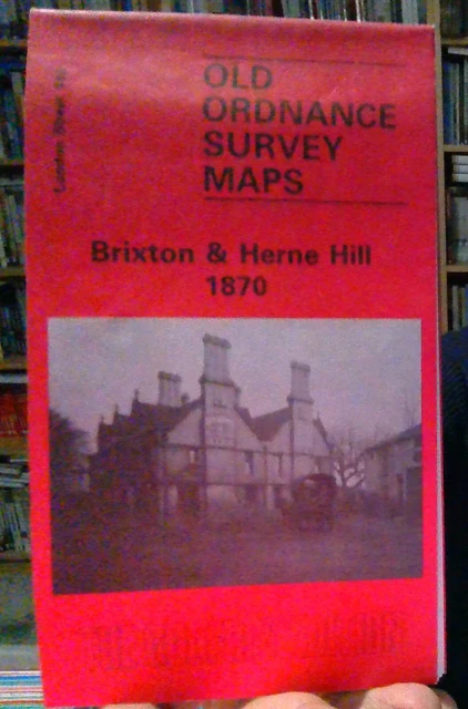 MAP OF BRIXTON and Herne Hill 1870: London Sheet 116.1 by W. W ...