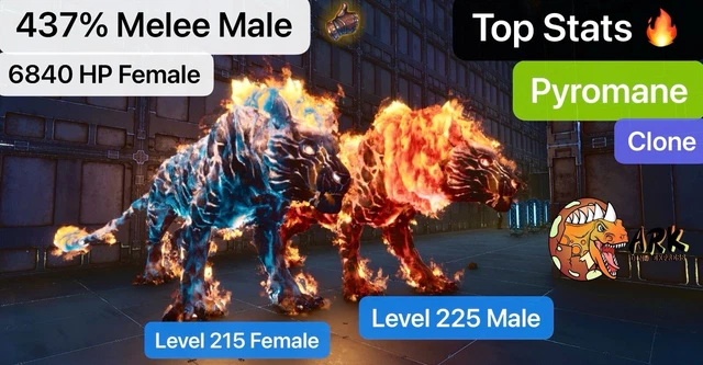ARK SURVIVAL ASCENDED pve Top Stats Pyromane, High Melee/HP (16 Hours ...