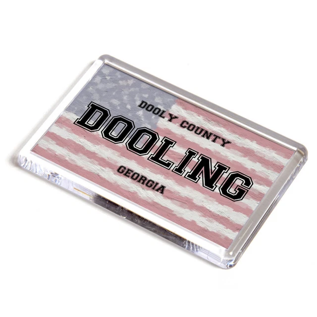 FRIDGE MAGNET - Dooling - Dooly, Georgia - USA Flag EUR 5,60 - PicClick FR