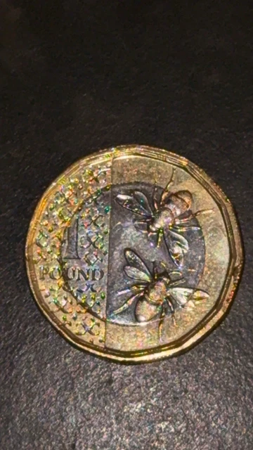 ROYAL MINT BEES 2024 £1 One Pound BU Coin Brilliant Uncirculated £208. ...