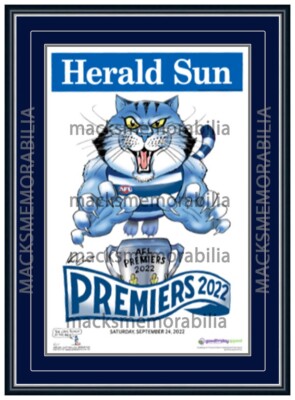 2022 GEELONG CATS Mark Knight Afl Grand Final Poster Matted Framed $134 ...