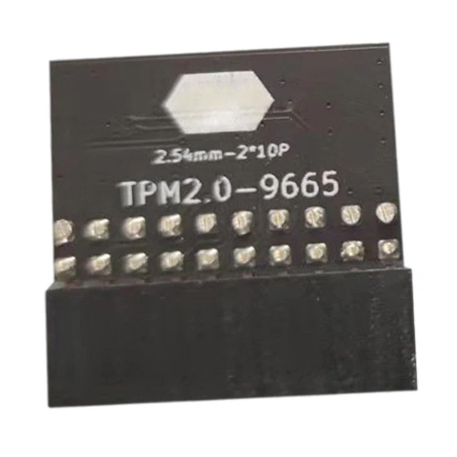 20 PIN PROTECTION Module Tpm2.0 Module for Tpm-L R2.0 for Gigabyte Gc ...