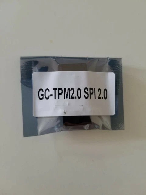 GIGABYTE GC-TPM 2.0 SPI Trusted Platform Module (TPM) - in hand quick ...
