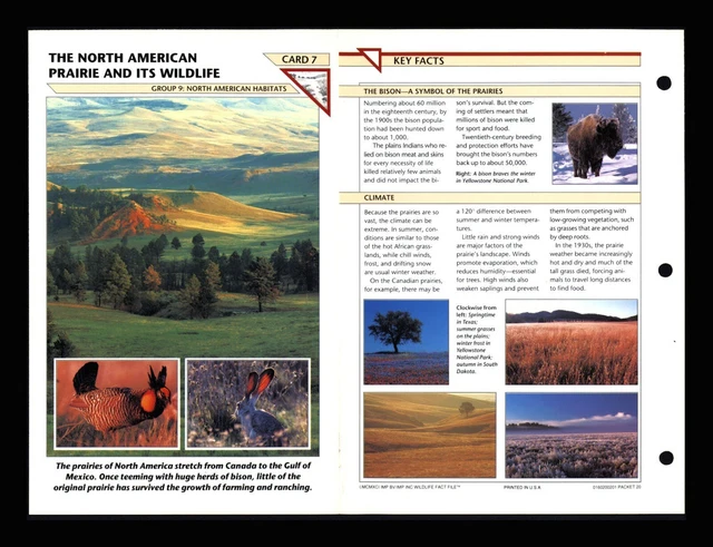 PRAIRIE & ITS Wildlife Fact File Card North American Habitats Home ...