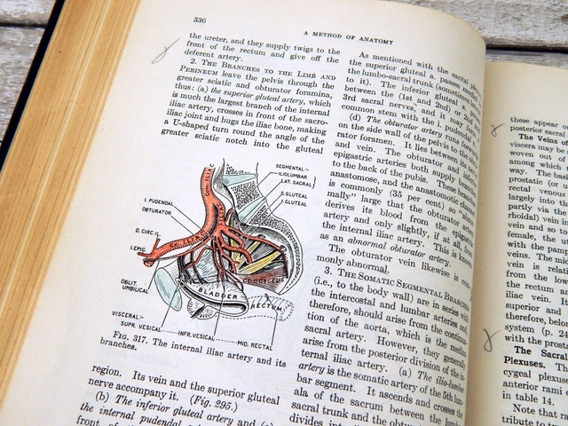 VINTAGE 1940S MEDICAL Book Methods of Anatomy WWII Era Nurses Hospital ...