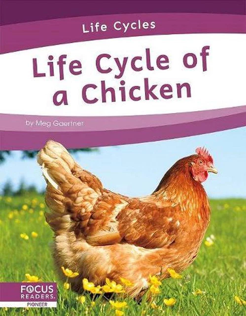 LIFE CYCLES: LIFE Cycle of a Chicken by Meg Gaertner (English ...