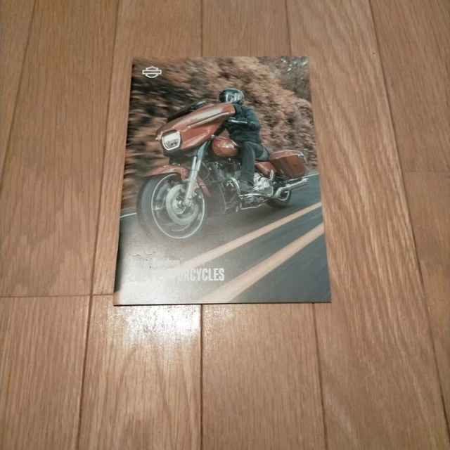 HARLEY-DAVIDSON 2024 CATALOG £40.08 - PicClick UK