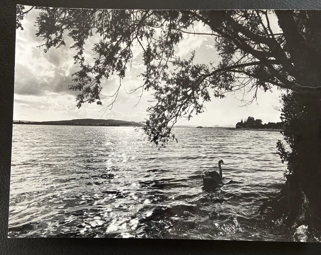 4 ORIG. FOTOS Konstanz - Höri / Bodensee von Heinz Finke Konstanz EUR ...