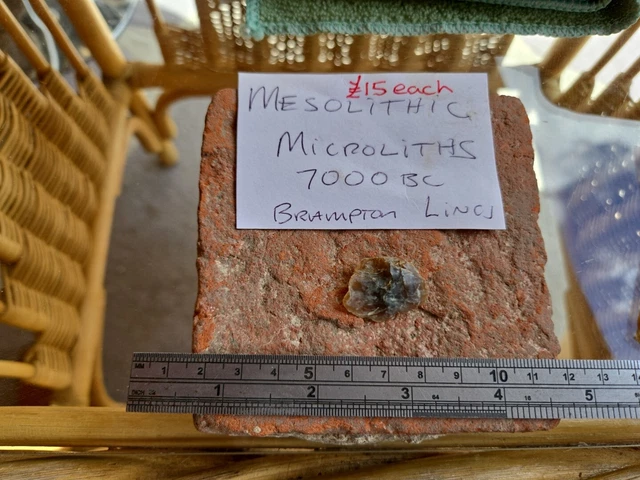 MESOLITHIC MICROLITHS CIRCA 7000 BC From Brampton Lincolnshire LA152s ...