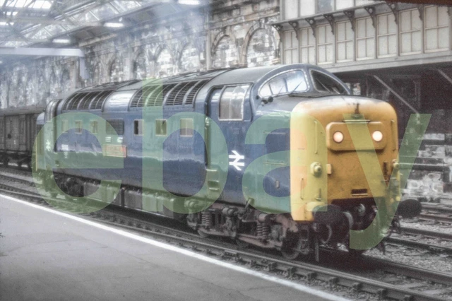 UK DIESEL TRAIN Railway Photograph Of Class 55 Deltic Loco 55002. Rm55 ...