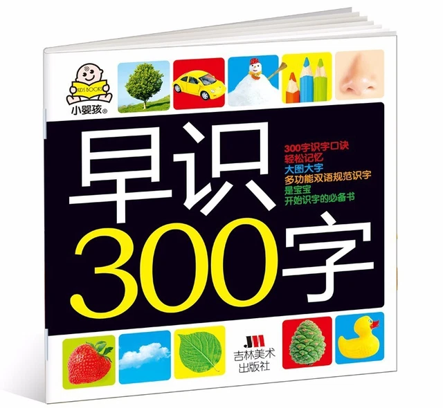 LEARNING 300 CHINESE words ：picture books with pinyin for baby £15.05 ...