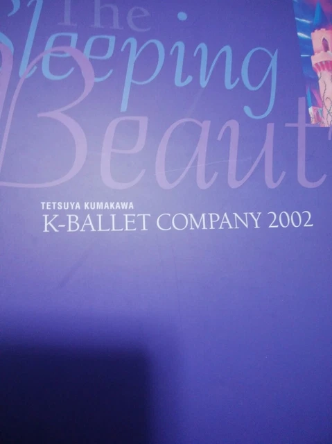 KUMAGAWA TETSUYA SLEEPING Beauty 2002 pamphlet £51.03 - PicClick UK