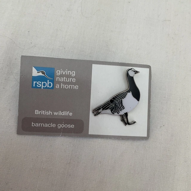 RSPB PIN BADGE British (Barnacle Goose) {Gnah} Pin Badge On Card ,Free ...