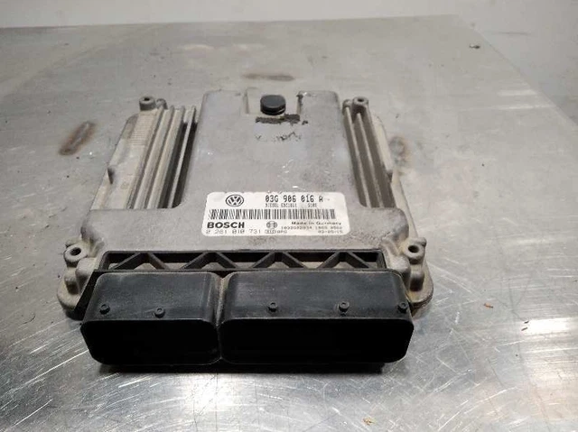 0281010731 CALCULATEUR MOTEUR Ecu / 976553 Pour Volkswagen Touran 1T1 ...
