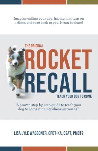 LISA LYLE WAGGONER The Original Rocket Recall (Poche) EUR 18,22 ...