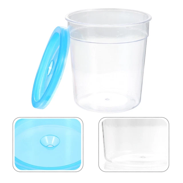 PLASTIC INSECT CARRIER Insect Feeding Box Transparent Breeding Box £7. ...