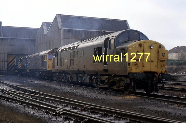 6X4 COLOUR RAILWAY photograph Class 37 37011 at Eastfield 13.02.83 £1. ...