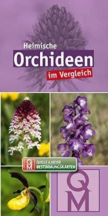 HEIMISCHE ORCHIDEEN: IM Vergleich (Quelle & Meyer Bes... | Livre | état ...