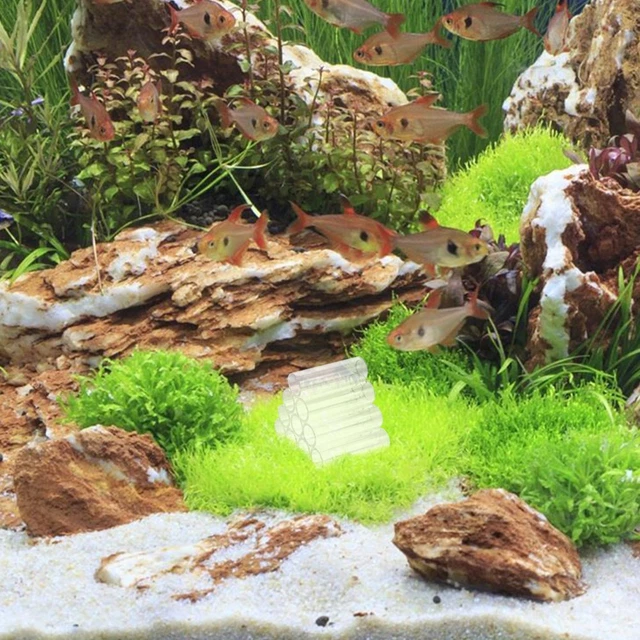 SHRIMP SHELTER FISH Tank Breeding Cave Aquarium Food Feeder Tube $23.86 ...