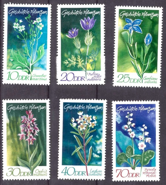 DDR - BRIEFMARKEN, Satz: Geschützte Pflanzen, Jahrgang 1970, Mi 1563-1568 EUR 1,00 - PicClick DE