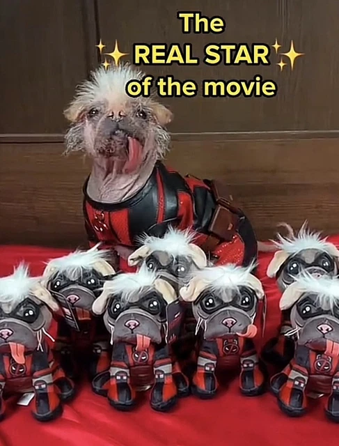 DOGPOOL PLUSH DEADPOOL Dog Plush Toy Marvel Movie Dogpool Plush NEW ...