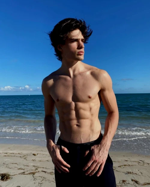 Shirtless Male Muscular Hunk Shaggy Black Hair Beach Beefcake Photo 4x6