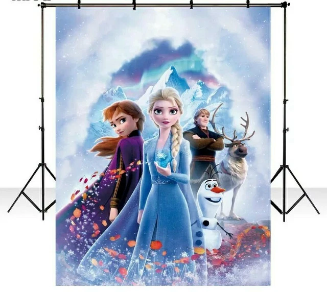 FROZEN 2 ELSA & Anna Birthday Backdrop Photoshoot Background Wall Thin ...