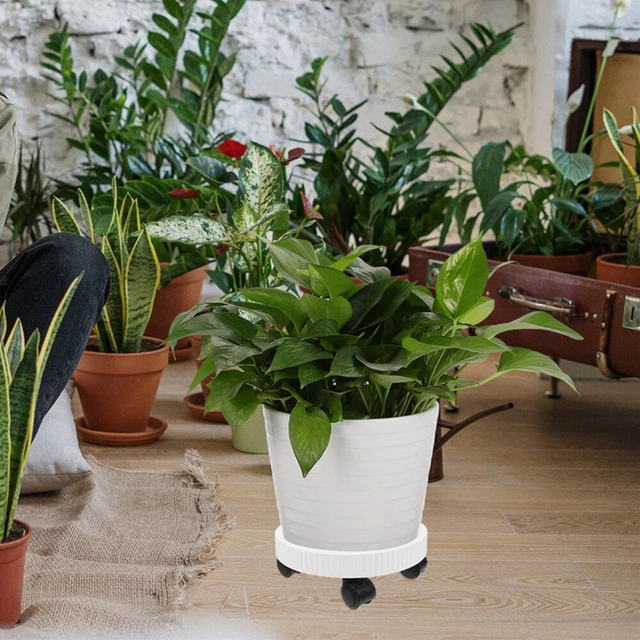 PLATEAU MOBILE POUR Plantes Base De Pot Fleurs Jardinage Support ...
