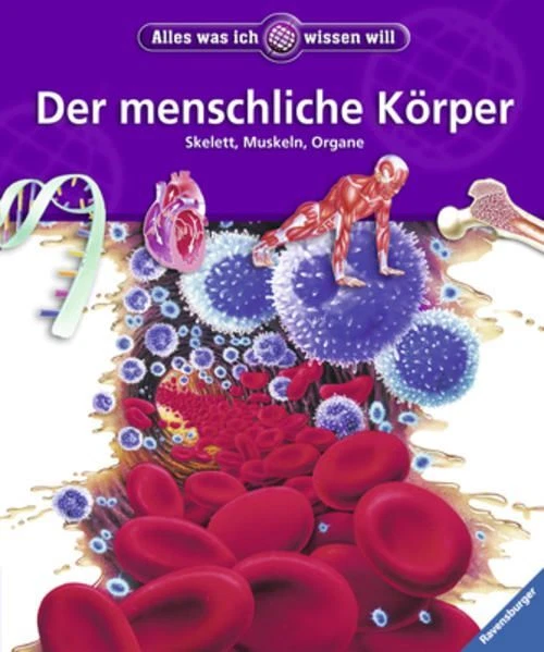DER MENSCHLICHE KÖRPER Skelett, Muskeln, Organe EUR 7,31 - PicClick DE