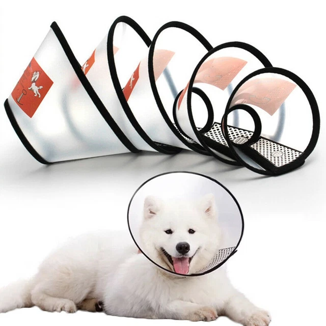 ELIZABETHAN PET PROTECTIVE Collar Dog Cat Anti-lick Cone Wound Healing ...