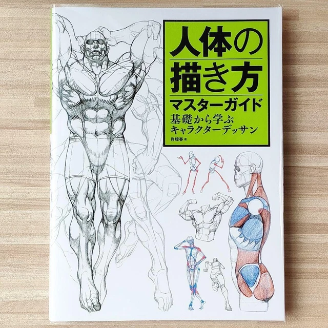 HOW TO DRAW the human body master guide Character drawing learning from ...