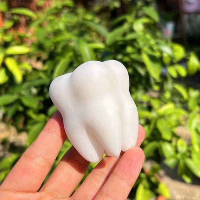 NATURAL WHITE JADE Tooth Carving Quartz Crystal specimens Reiki Healing ...