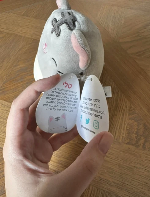 5” TALLY THE Grey Cat Squishmallow Plush Toy Rare Collectible New with ...