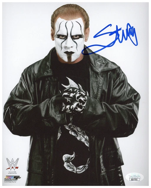 Wrestler Sting