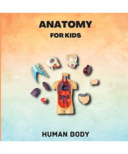 ANATOMY FOR KIDS (Human Body): Human Body Introduction for Children ...