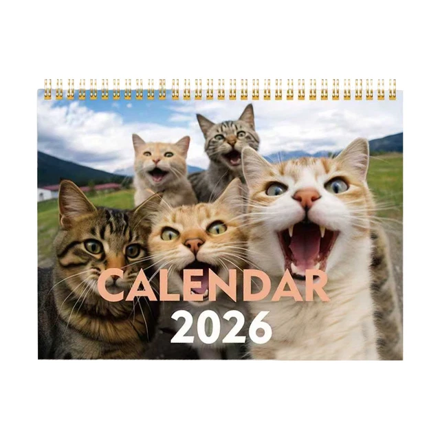 2026 CATS AND Friends Wall Calendar 2026 Monthly Desk Calendar Cute ...