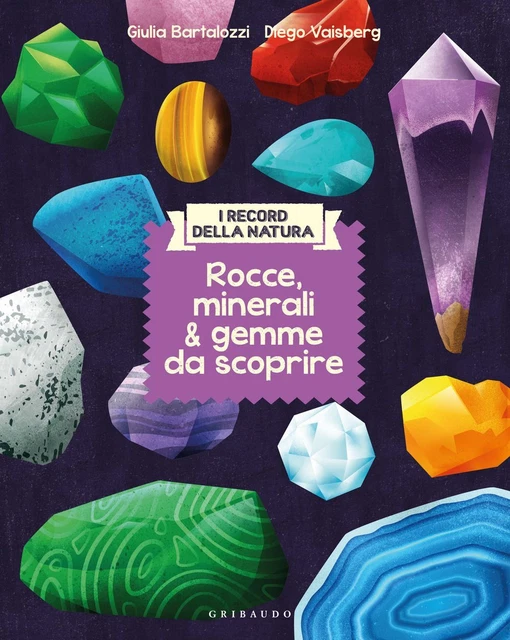 LIBRI GIULIA BARTALOZZI / Vaisberg Diego - Rocce, Minerali & Gemme Da ...