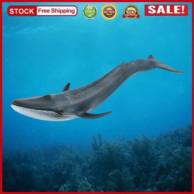 NUOVE STATUINE BALENA marina modello balena di sicurezza portatile per ...