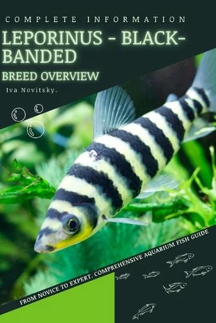 LEPORINUS - BANDES noires : du novice à l'expert. Guide complet des ...