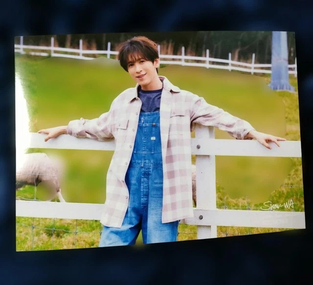 CALENDAR 2026 SHOW-WA Book Shinjiro Terada Raw Photo $85.34 - PicClick CA