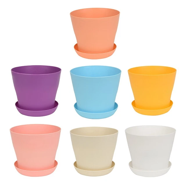 PIANTA PERMANENTE PUÒ pianta grassa coltura domestica 5 pz nuova ...